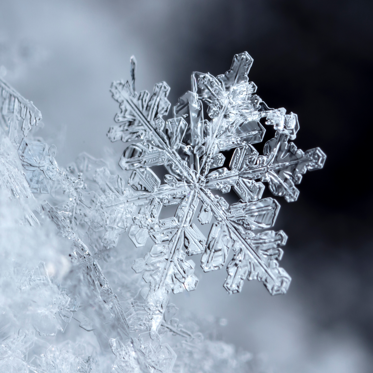 Snowflakes: Nature's Unique Masterpieces – SnowJewel